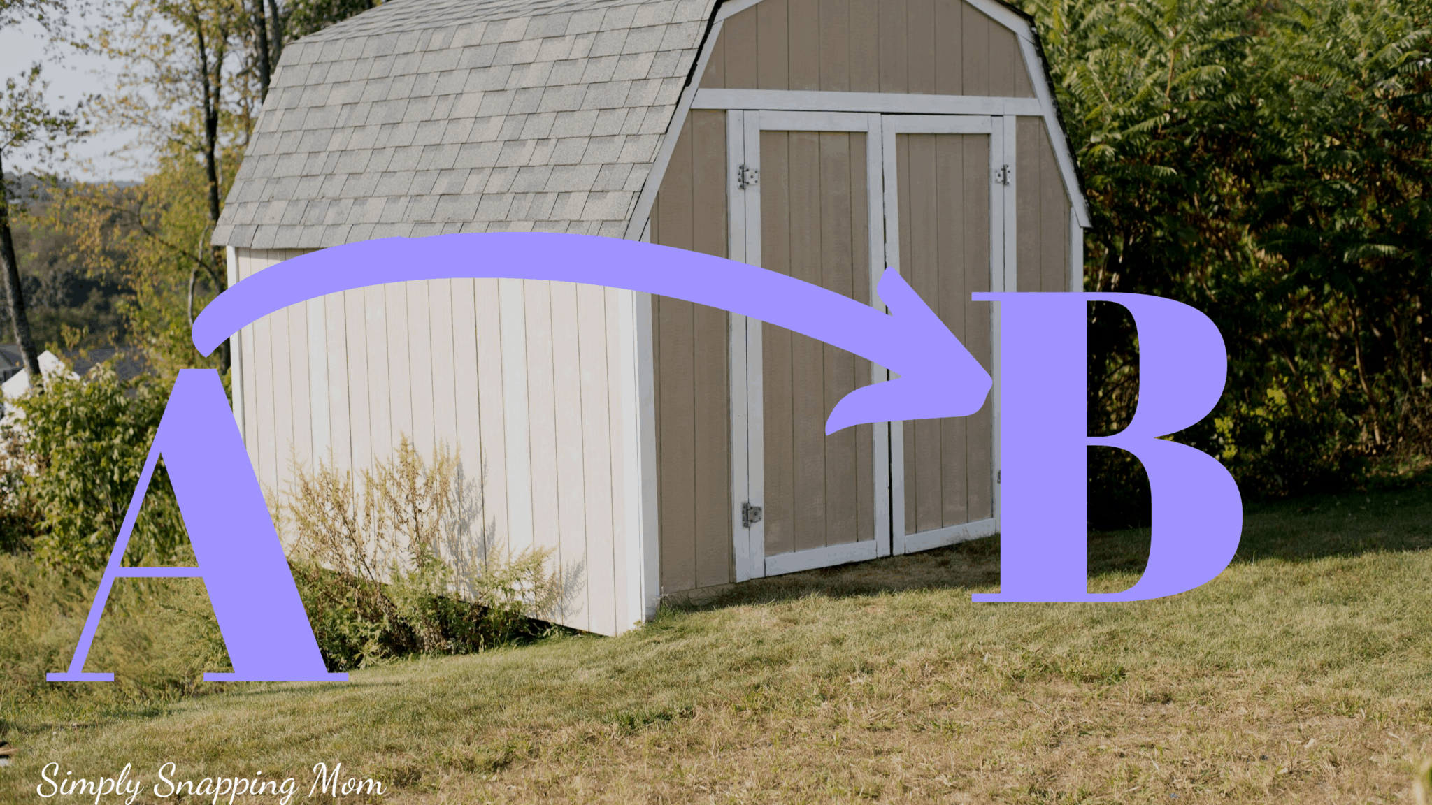 Quick Tips on Finding and Maximizing Open Shade for Stunning Photos ...