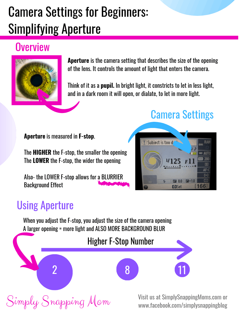 Top 5 Most Common Beginner Photography Questions Answered - Simply ...