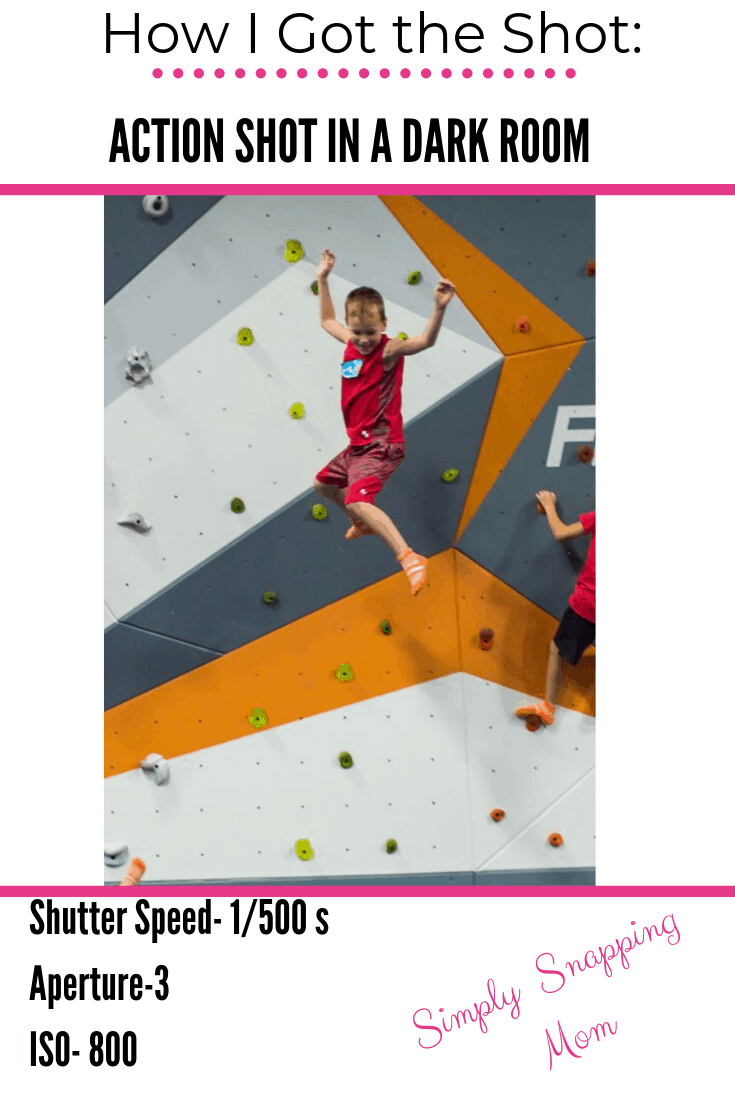 Snap This Way: Photography Setting Series - Simply Rooted Family