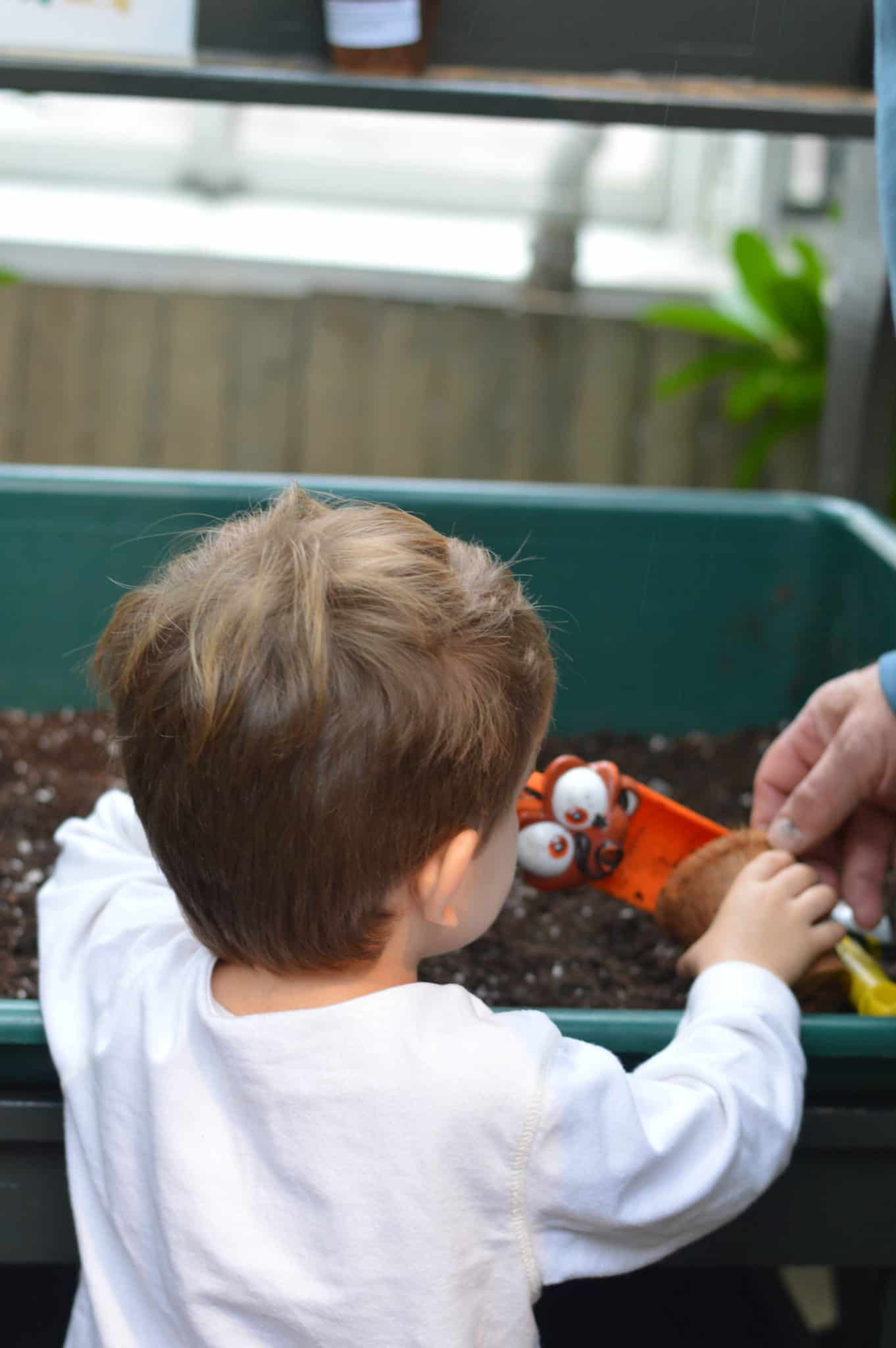 10 Ways to Engage with Nature When Mother Nature Won't Cooperate ...